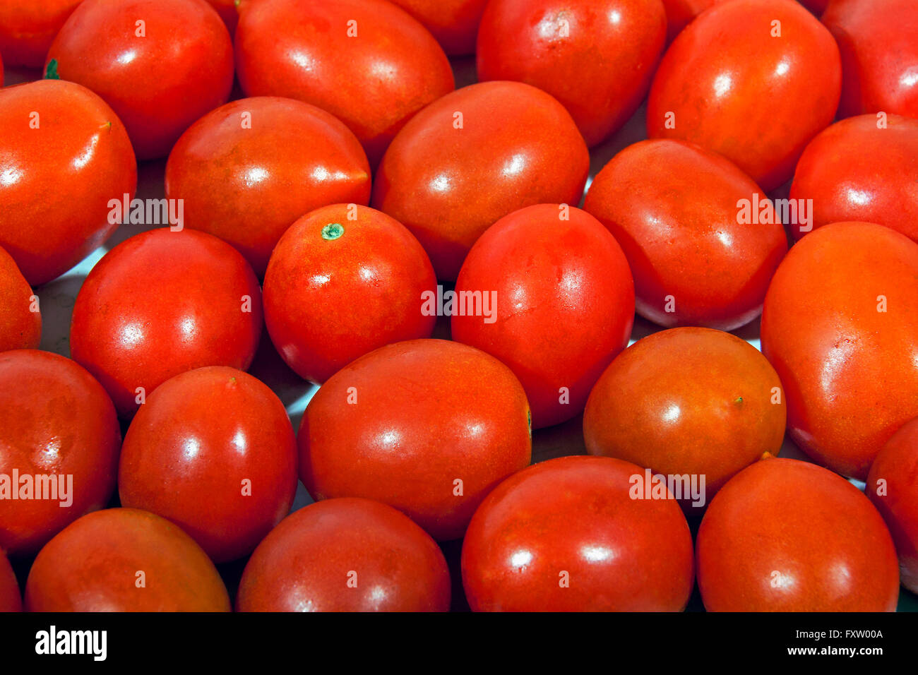 Close up collection of bright red shiny cherry tomatoes Stock Photo - Alamy