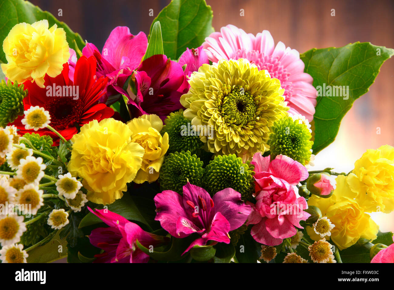 Flora composition hi-res stock photography and images - Alamy