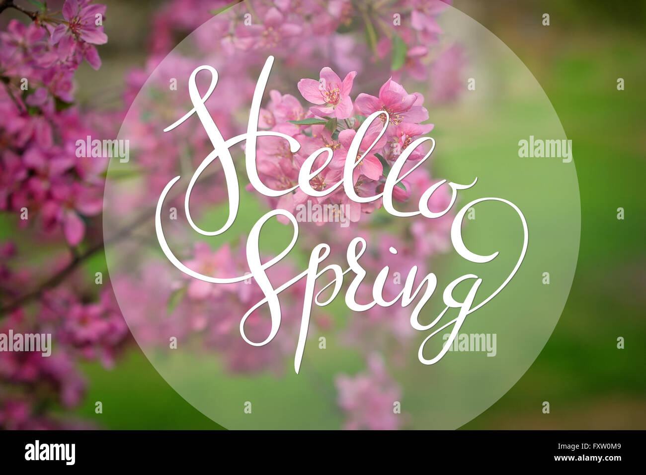 Square calligraphy hi-res stock photography and images - Alamy