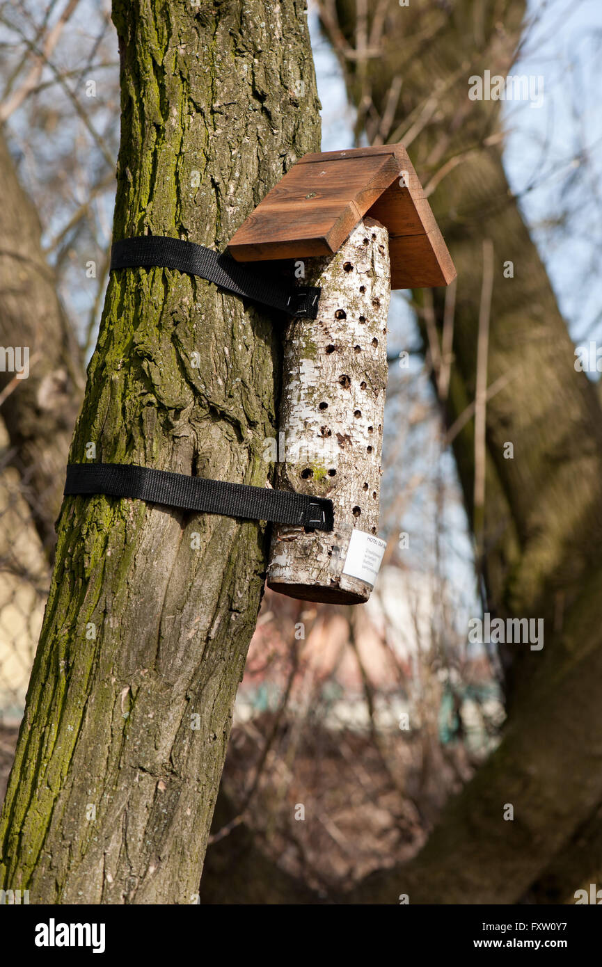 Wooden insect hotel habitat on tree in the park, tree log with holes to ...