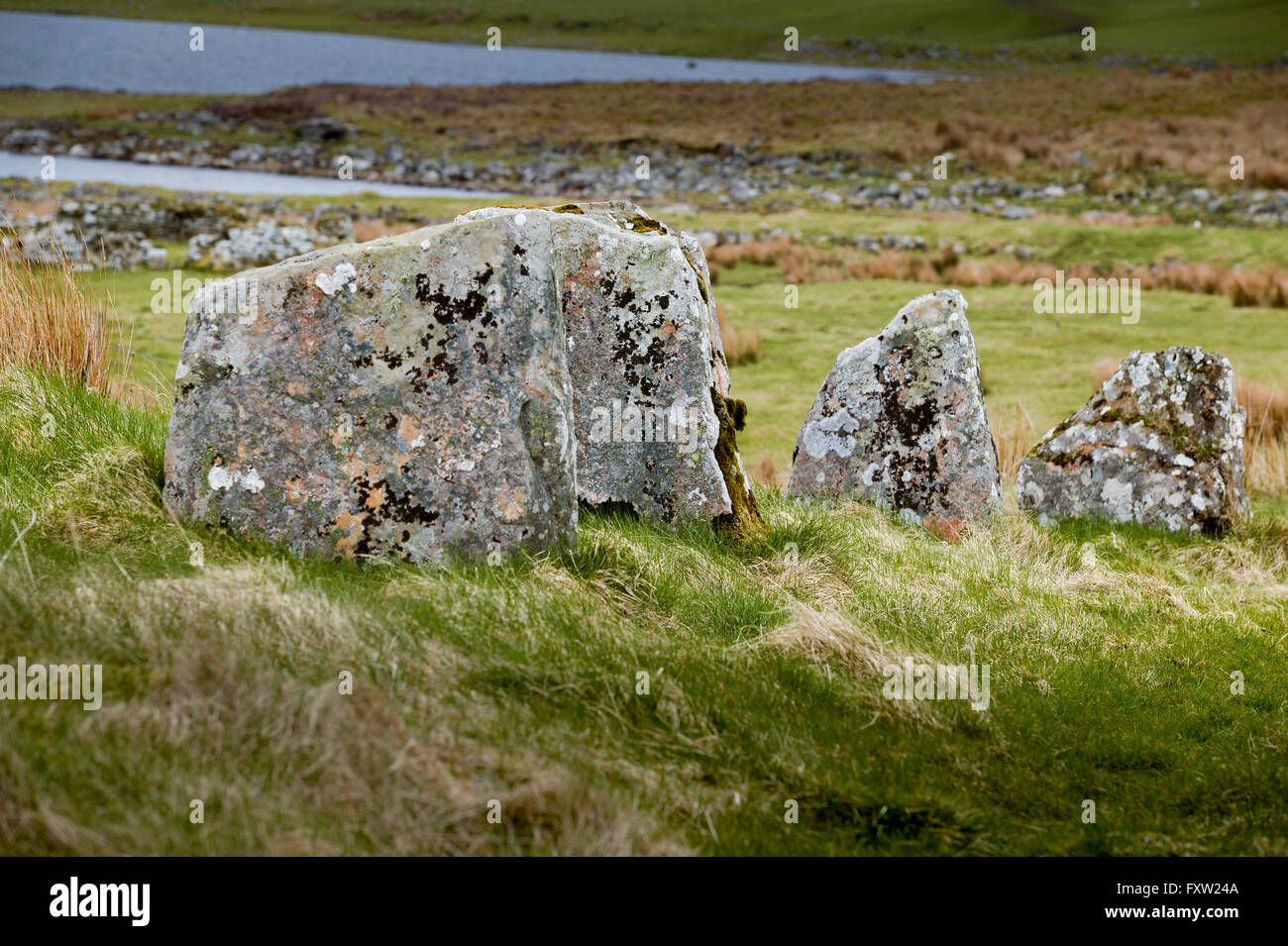 Achavanich Standing Stones, Loch Stemster, Latheron, Caithness ...