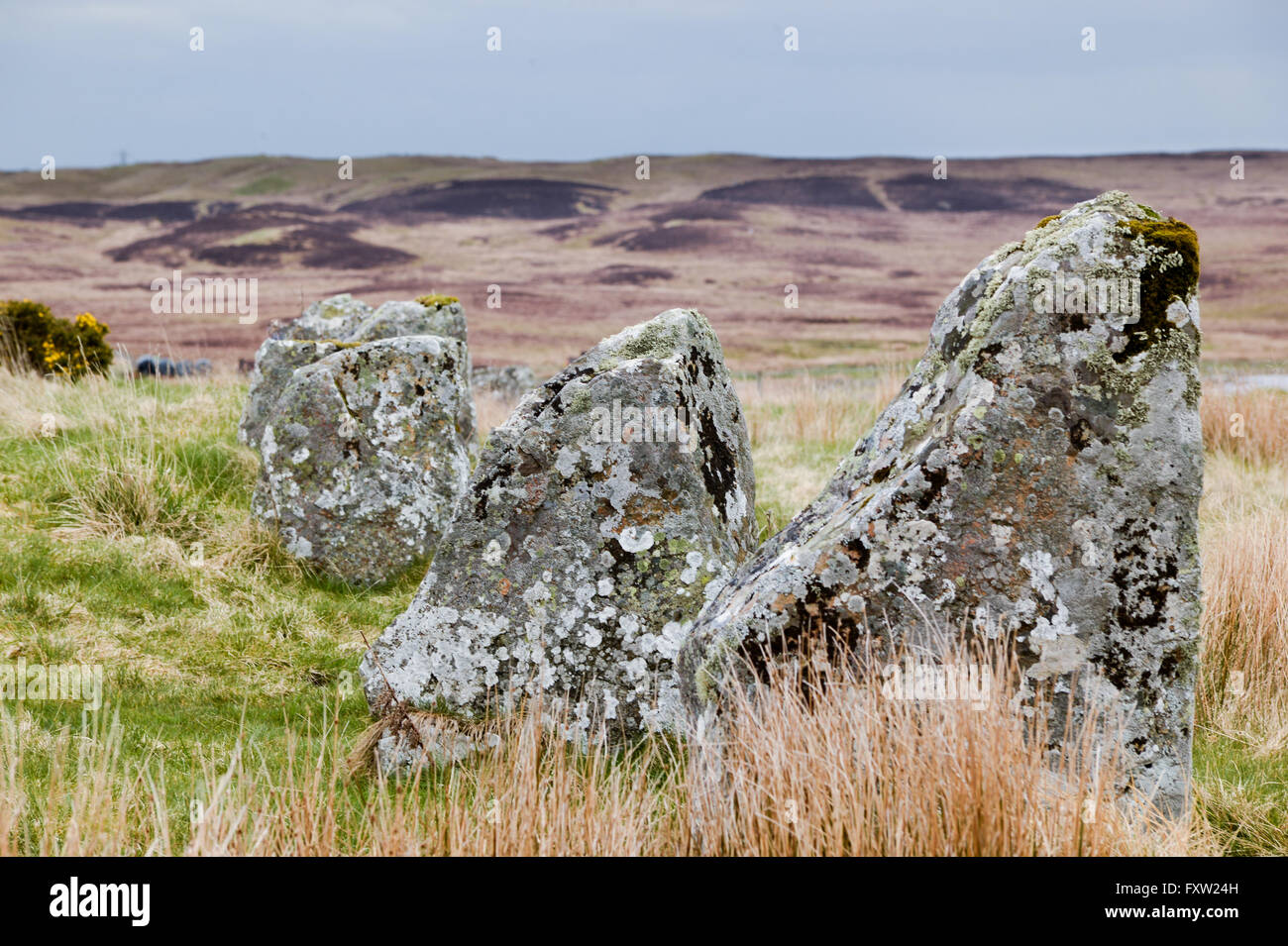 Caithness stone hi-res stock photography and images - Alamy