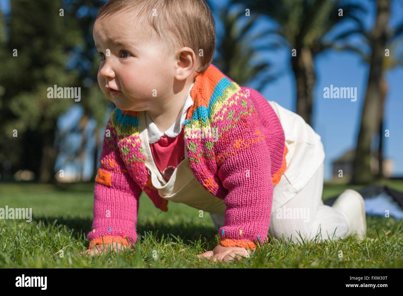 Cute baby girl learning to crawl over the grass park on springtime ...