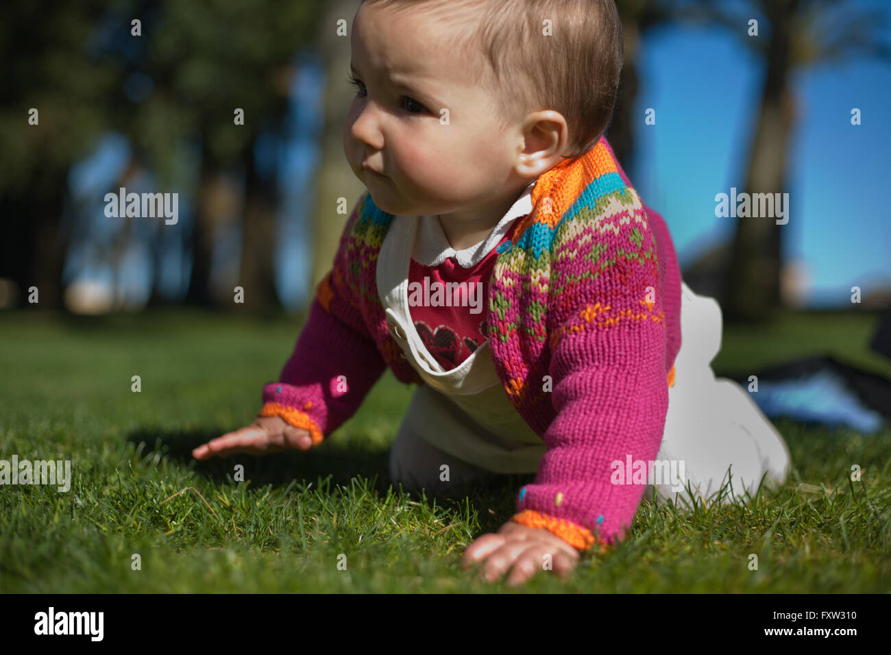Crawl development learning hi-res stock photography and images - Alamy