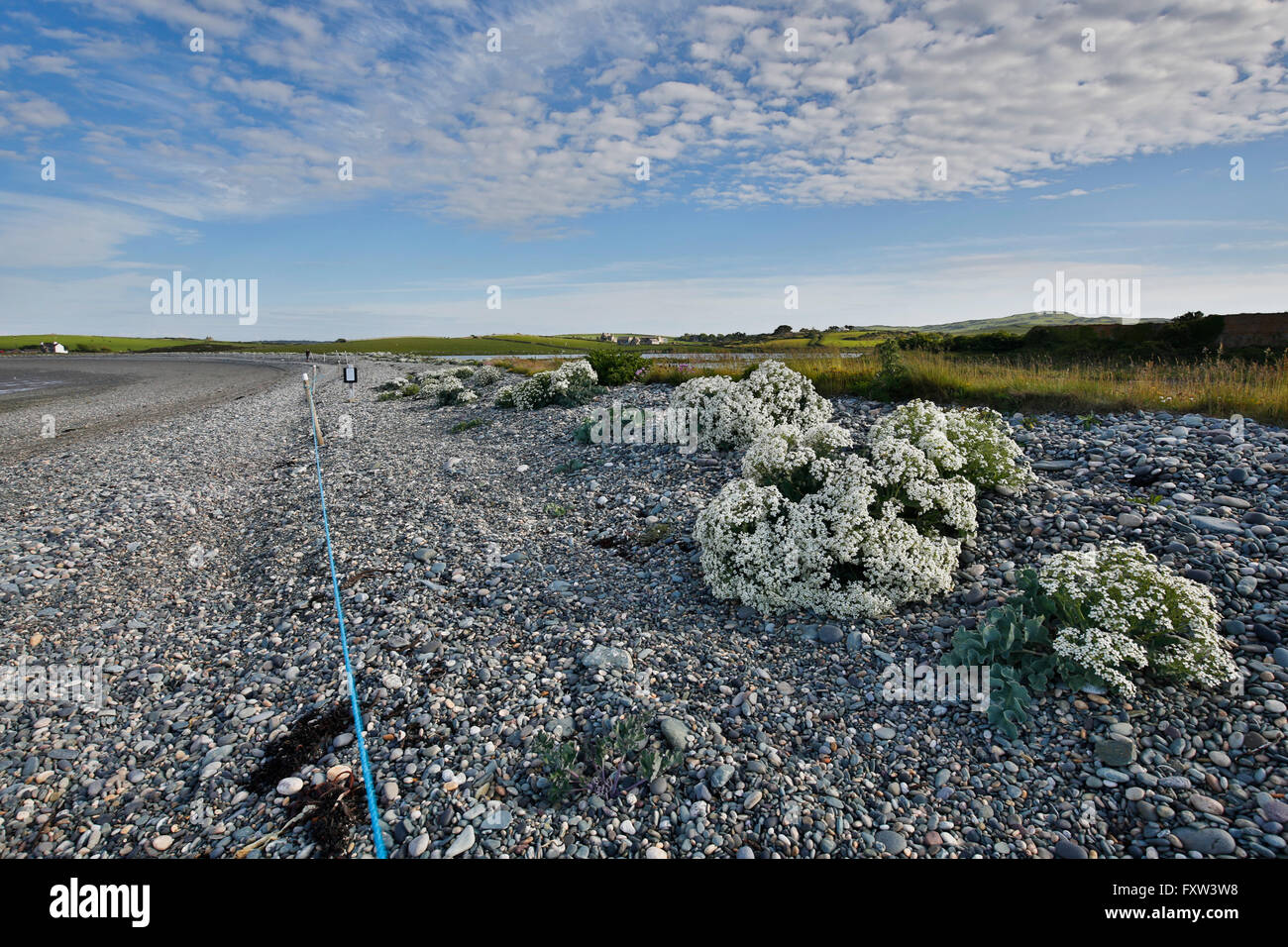 Cordoned off rope hi-res stock photography and images - Alamy