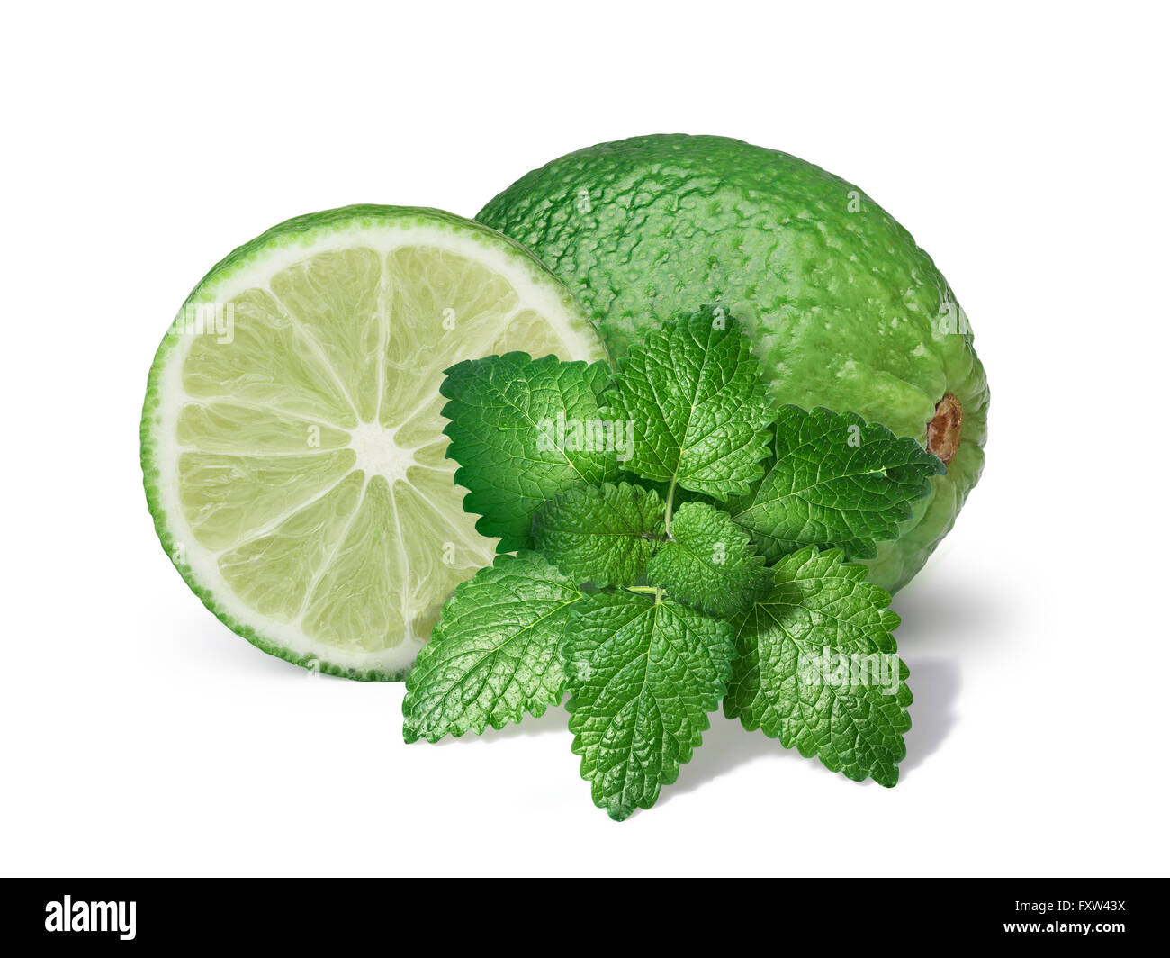 Lime wheel with whole lime with mint balm on foreground. Clipping paths ...