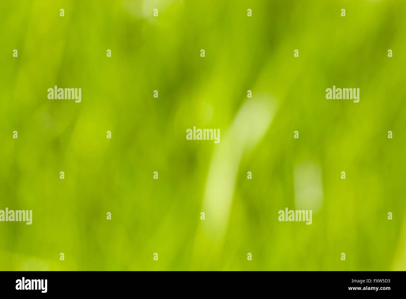 green blurred out of focus abstract background Stock Photo - Alamy