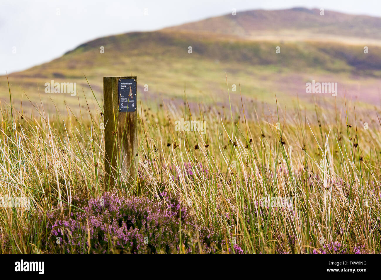 Wicklow Mountains National Park sign post against uplands background ...