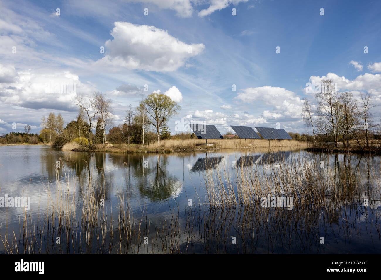 Reed panels hi-res stock photography and images - Alamy
