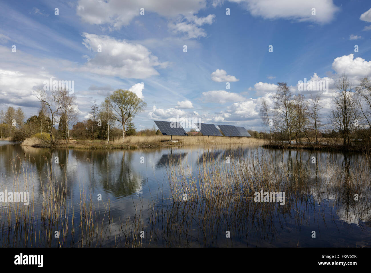 Reed panels hi-res stock photography and images - Alamy