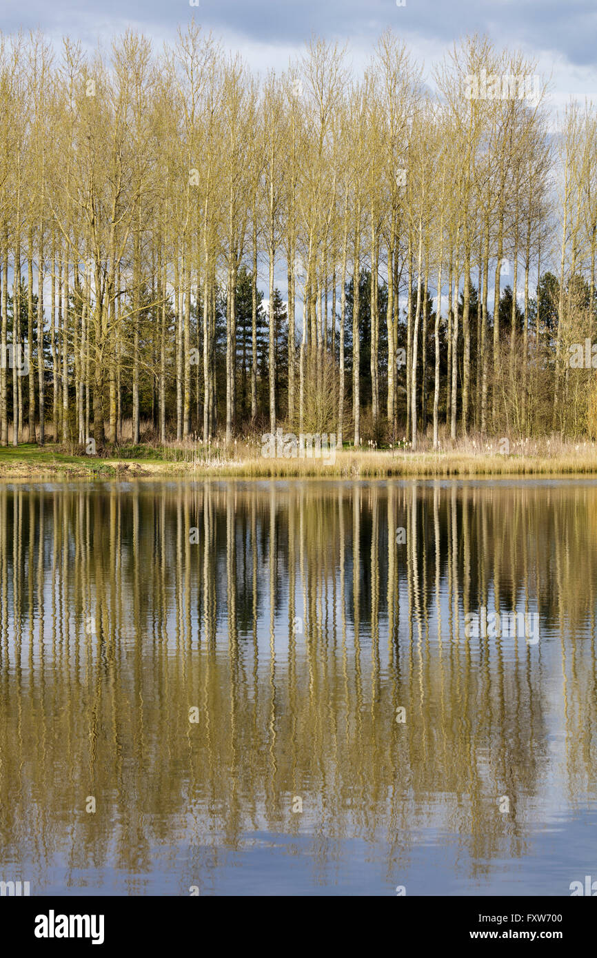 Cotswold waterpark hi-res stock photography and images - Alamy