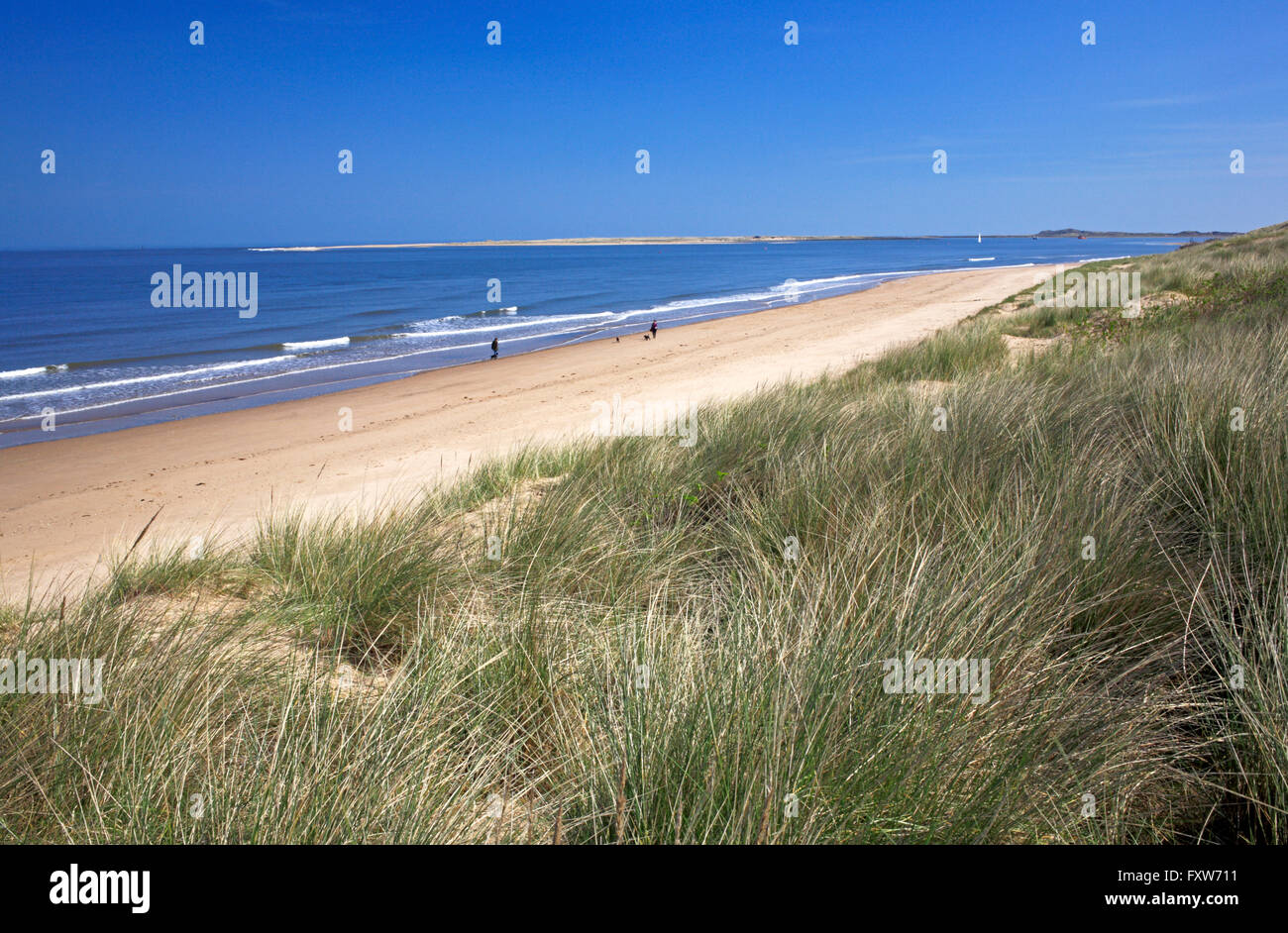 A view of the sand dunes and beach at Brancaster, Norfolk, England ...