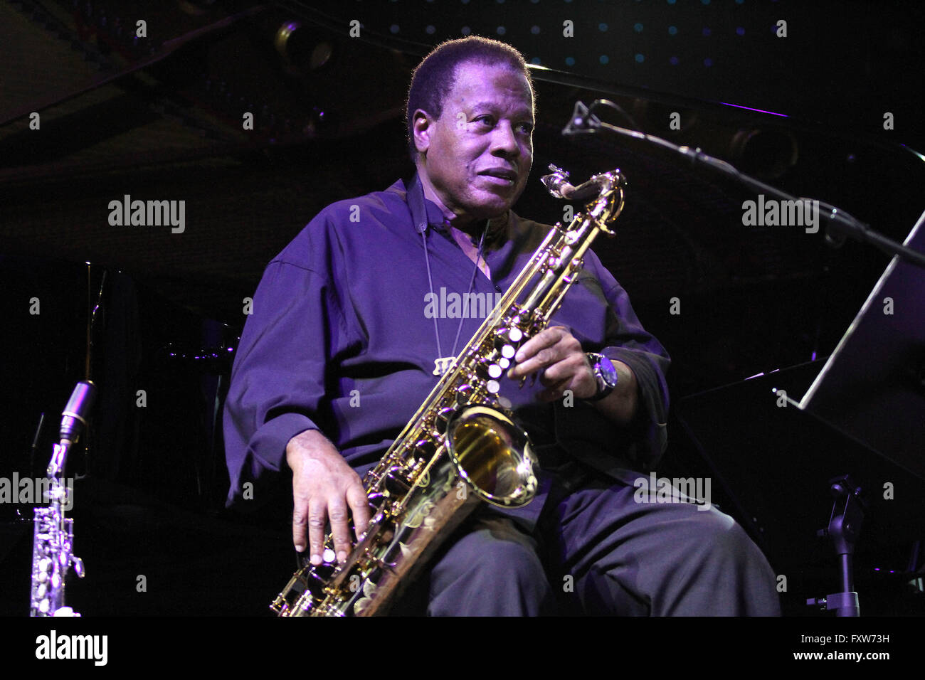 Shorter hi-res stock photography and images - Alamy