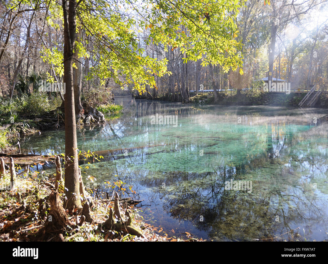 Ginnie Springs High Resolution Stock Photography and Images - Alamy