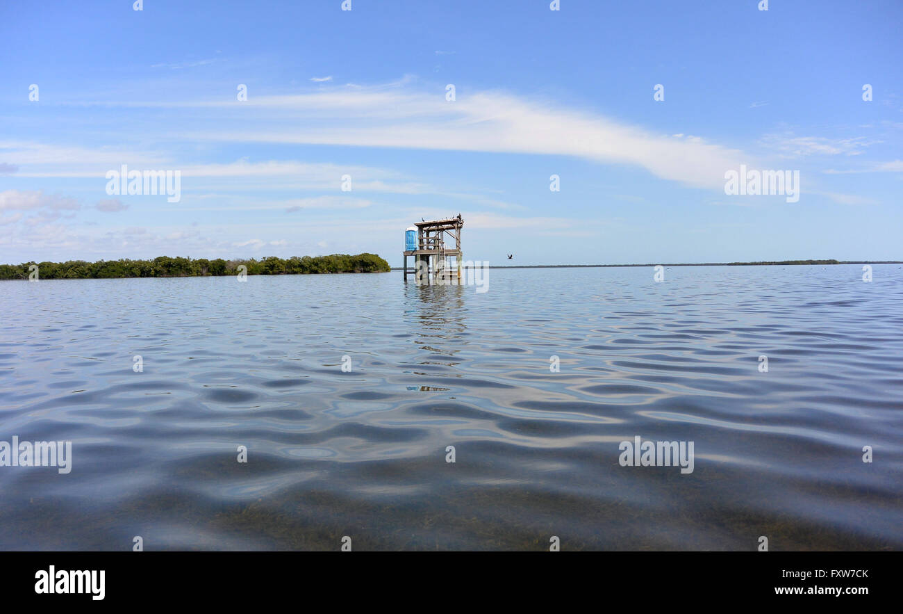 Shark Point Chickee in Florida Bay Stock Photo - Alamy