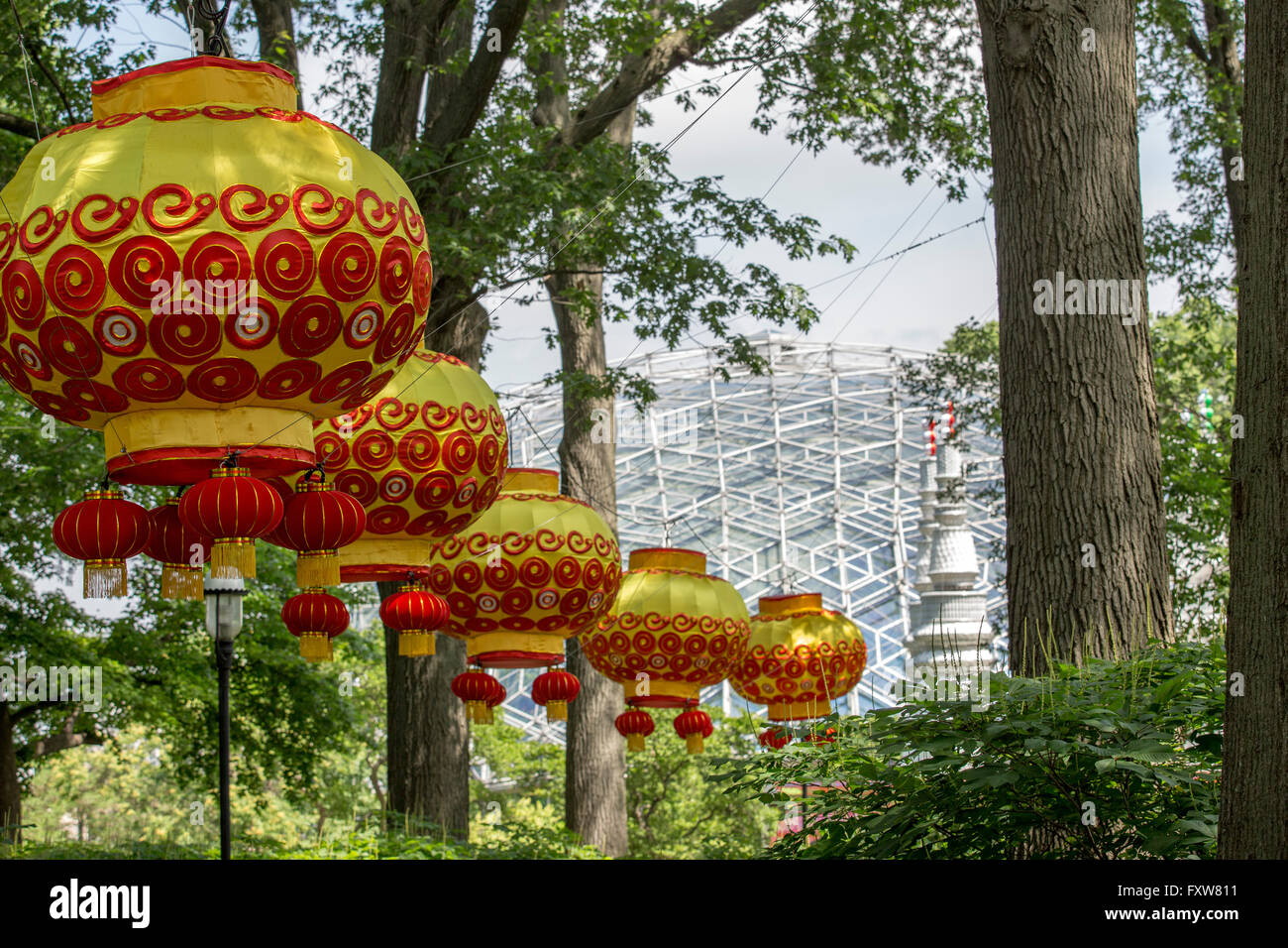 Chinese lanterns with St. Louis Climatron in background Stock Photo - Alamy