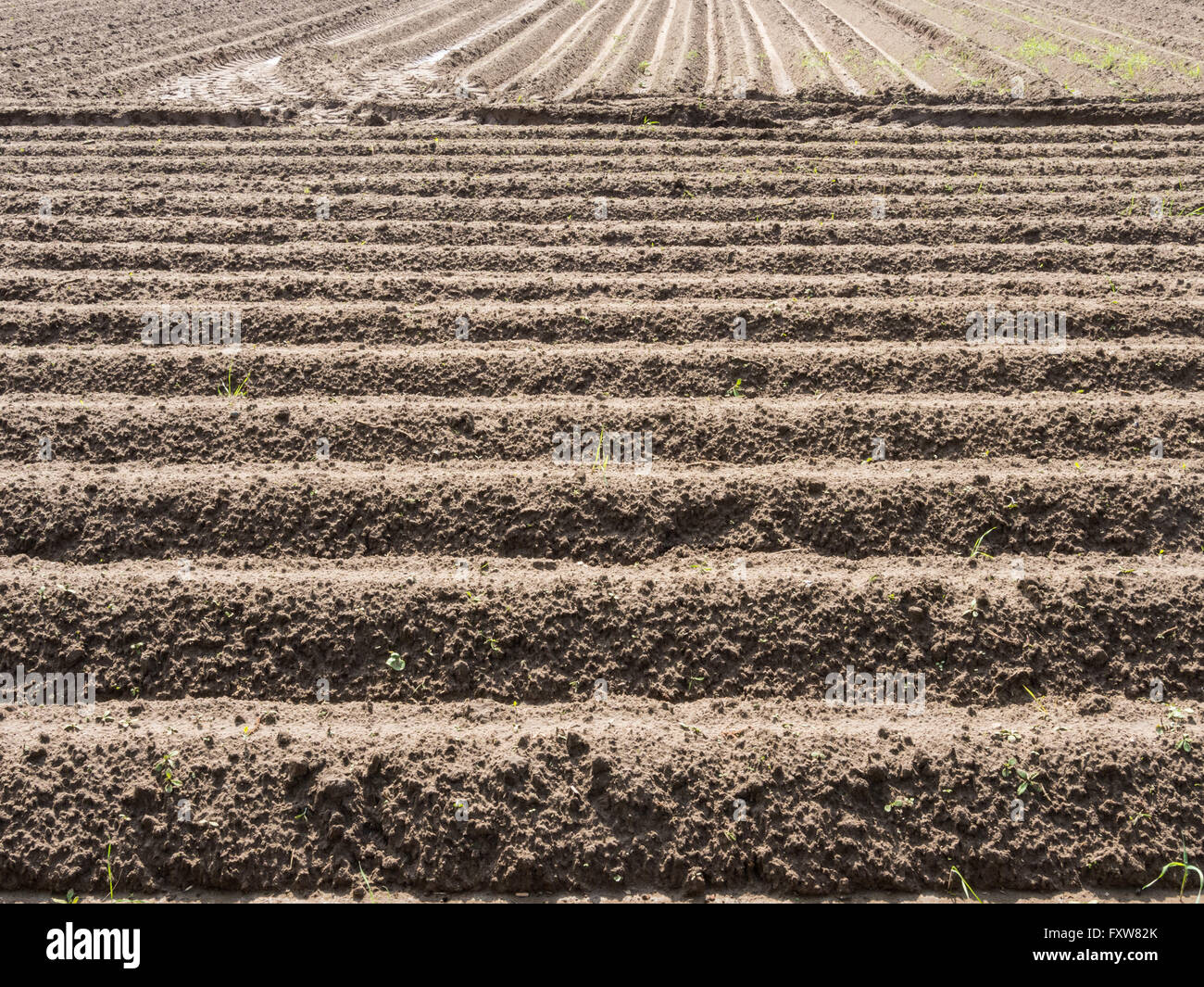 Plowed rows hi-res stock photography and images - Alamy