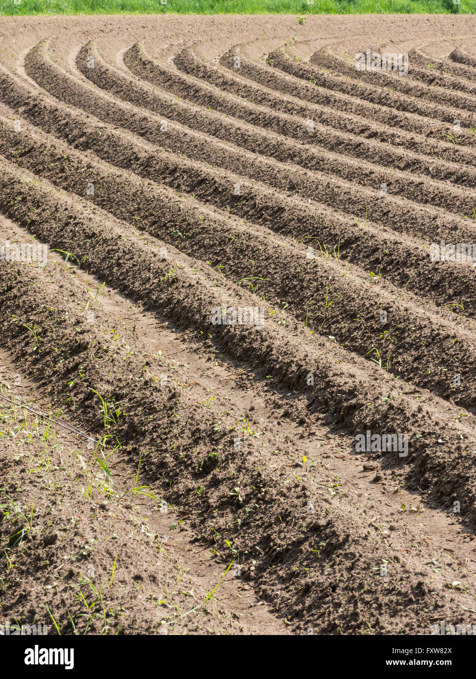 Plowed rows hi-res stock photography and images - Alamy