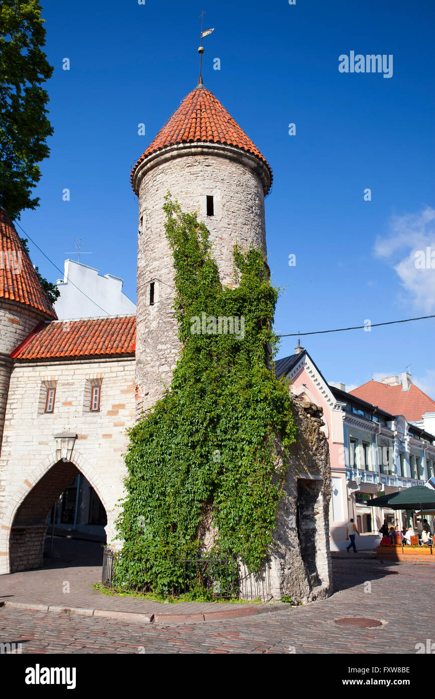 Tile tower entrance gate hi-res stock photography and images - Alamy