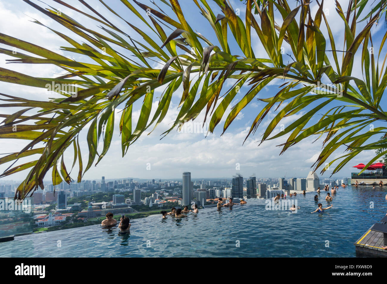 Marina Bay Sands , Infinity pool, Roof Terasse, Marina Bay, Singapore ...