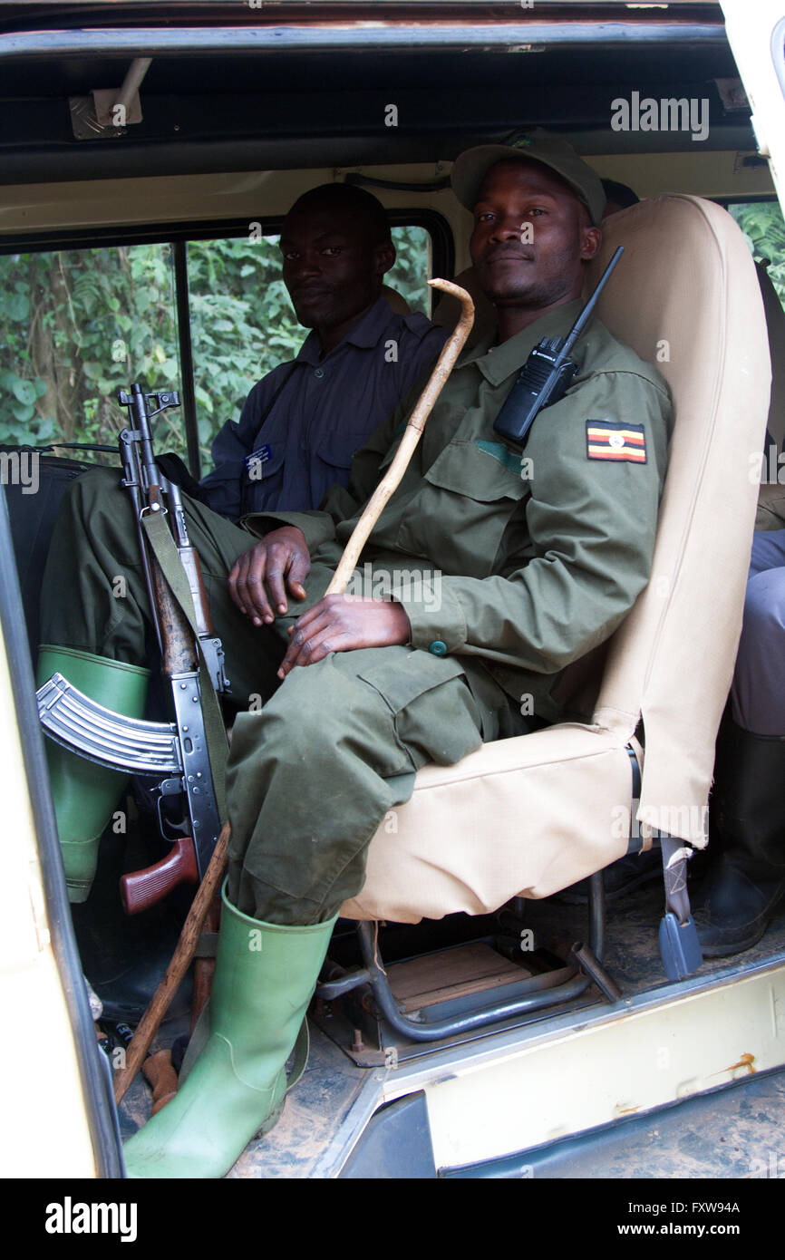 Photograph by © Jamie Callister. Gorilla Rangers, Bwindi Impenetrable ...
