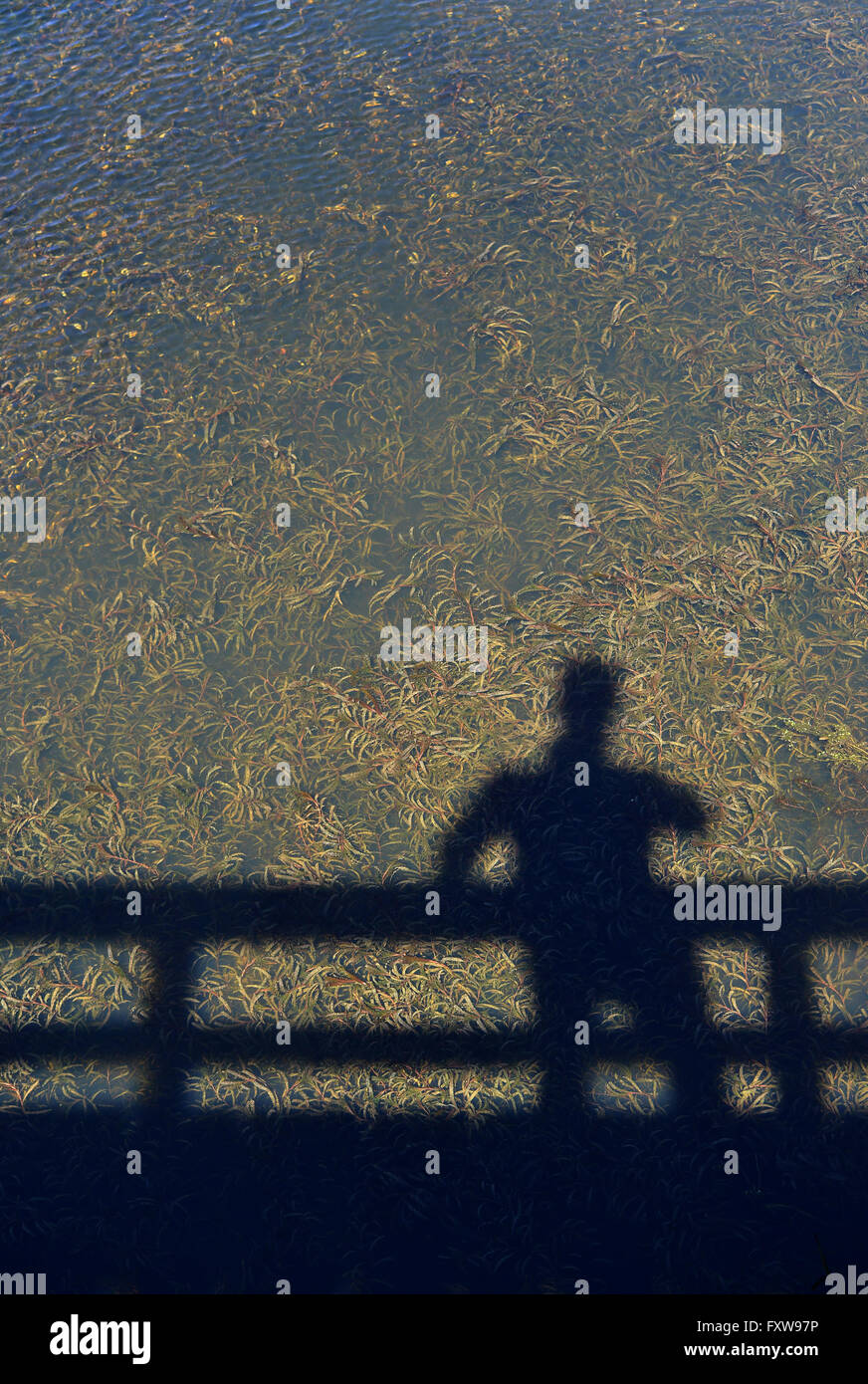Shadow of figure in pond Stock Photo - Alamy