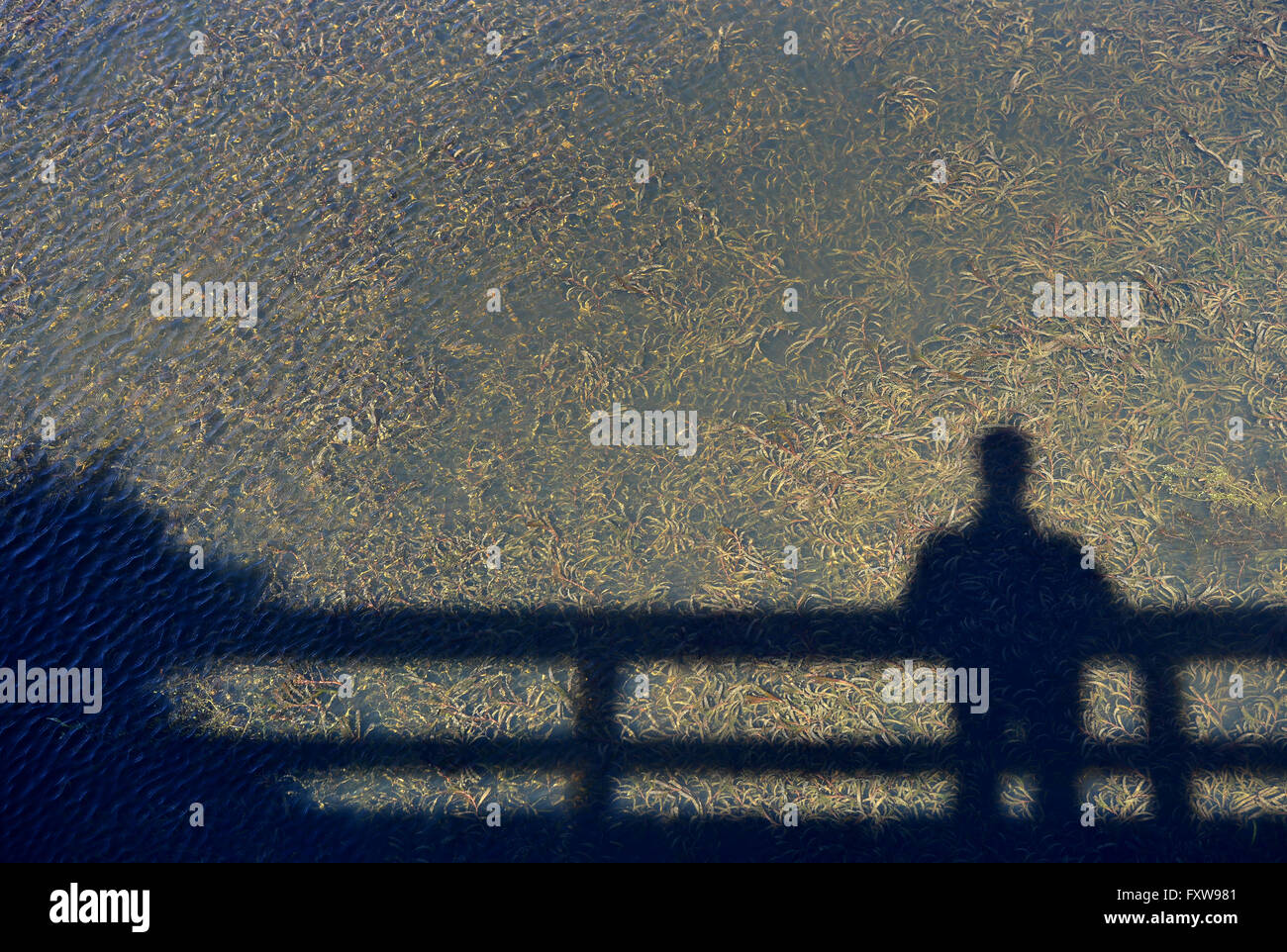 Shadow of figure in pond Stock Photo - Alamy