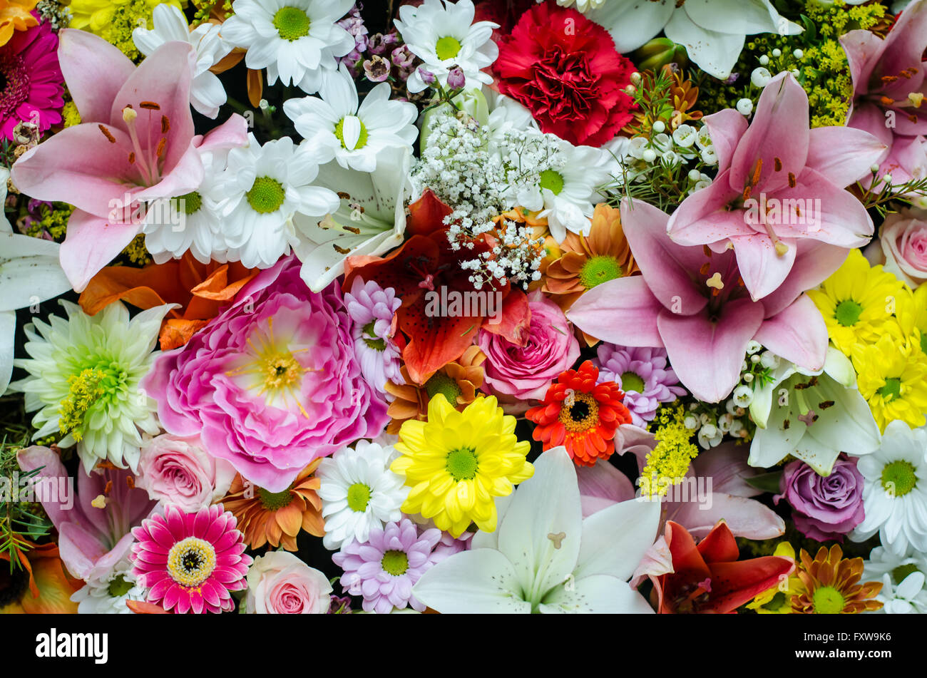 many colorful flower wall background Stock Photo - Alamy