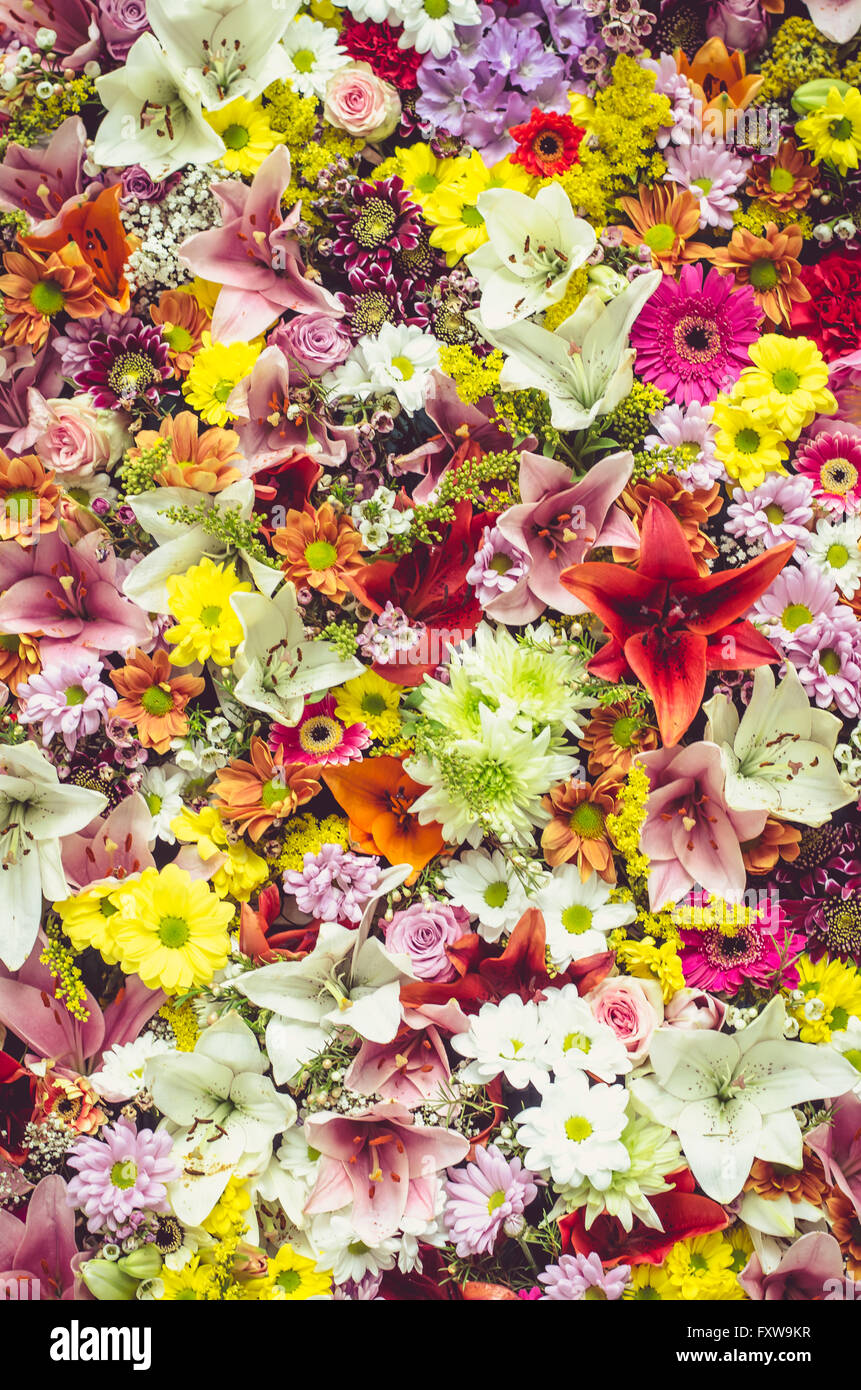 beautiful colorful flower wall background Stock Photo - Alamy