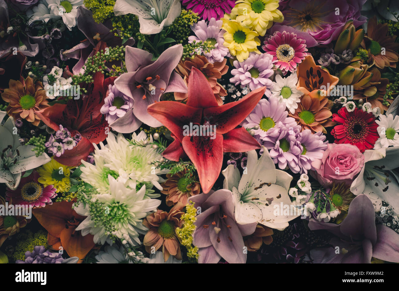 Colorful Flower Wall DIY Flower Wall Hanging For The Bedroom Happy