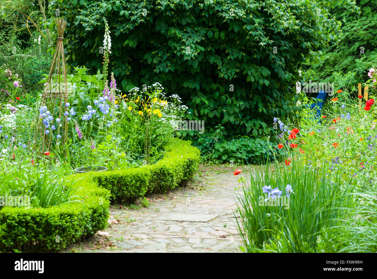 Path in natural garden with flowering plants Stock Photo - Alamy