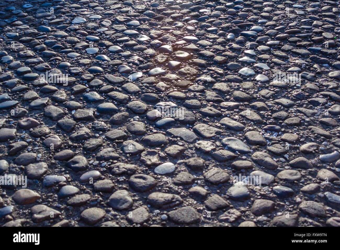 Cobbled stone road low angle, reflection of light seen on the road ...