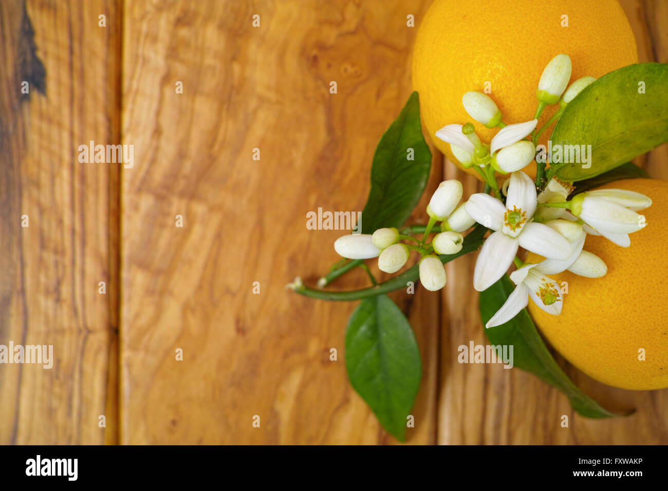 Fresh oranges with leaves and orange tree flowers on olive wooden ...