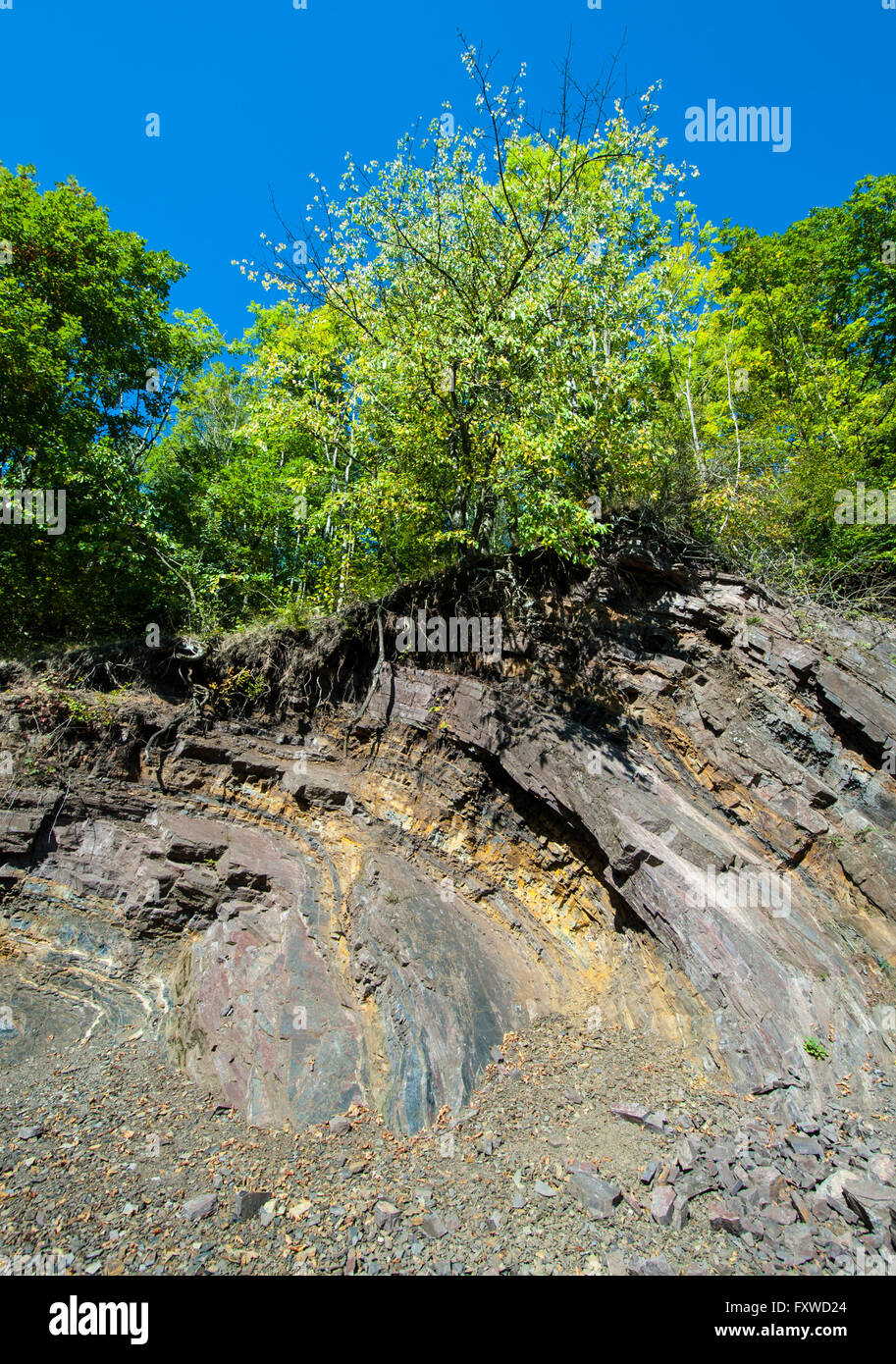 Rock face in quarry at Borghagen in Düdinghausen, district of Medebach ...