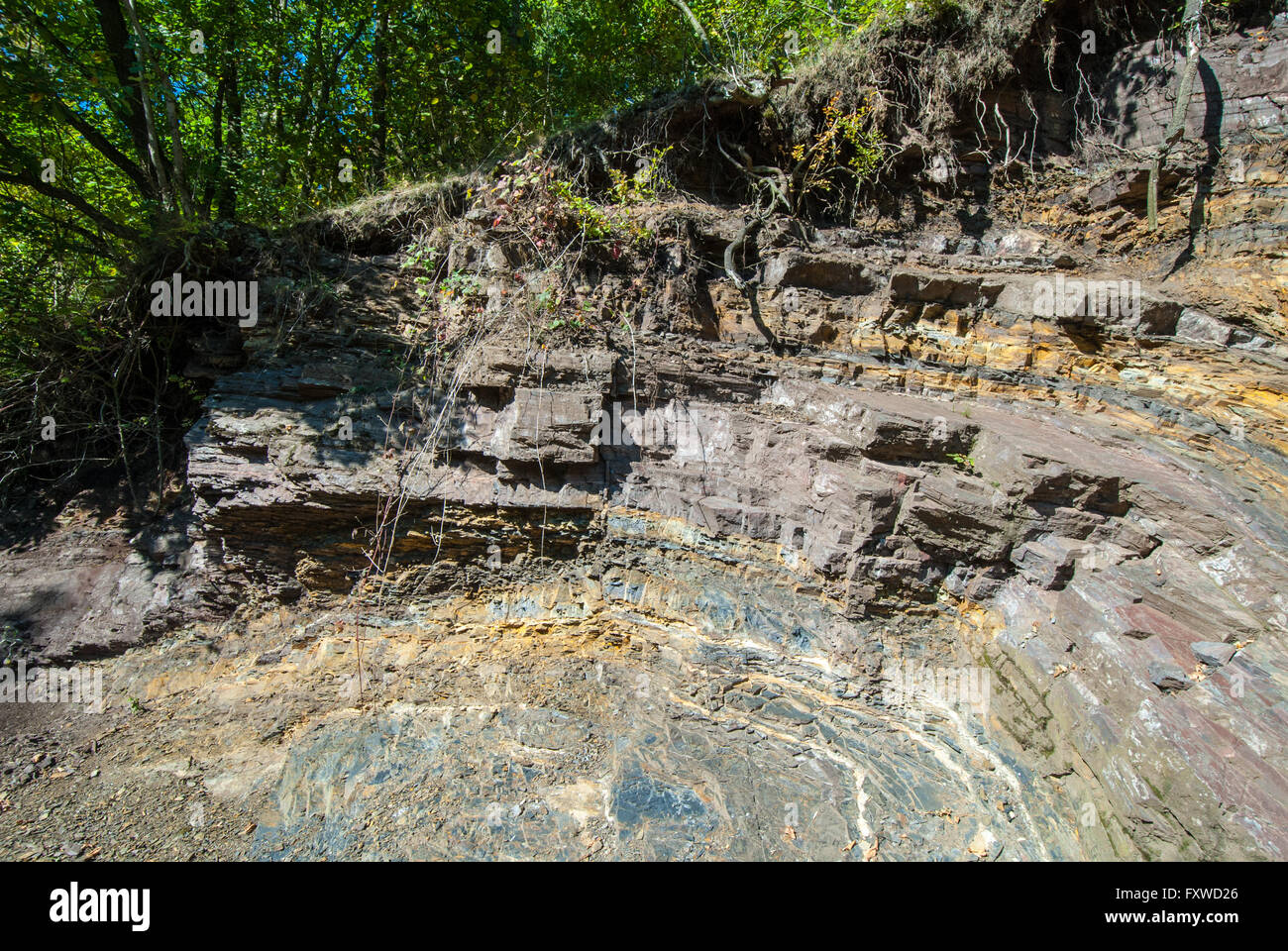 Rock face in quarry at Borghagen in Düdinghausen, district of Medebach ...