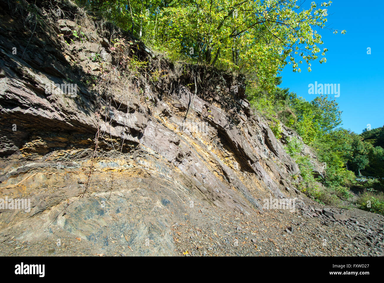 Rock face in quarry at Borghagen in Düdinghausen, district of Medebach ...