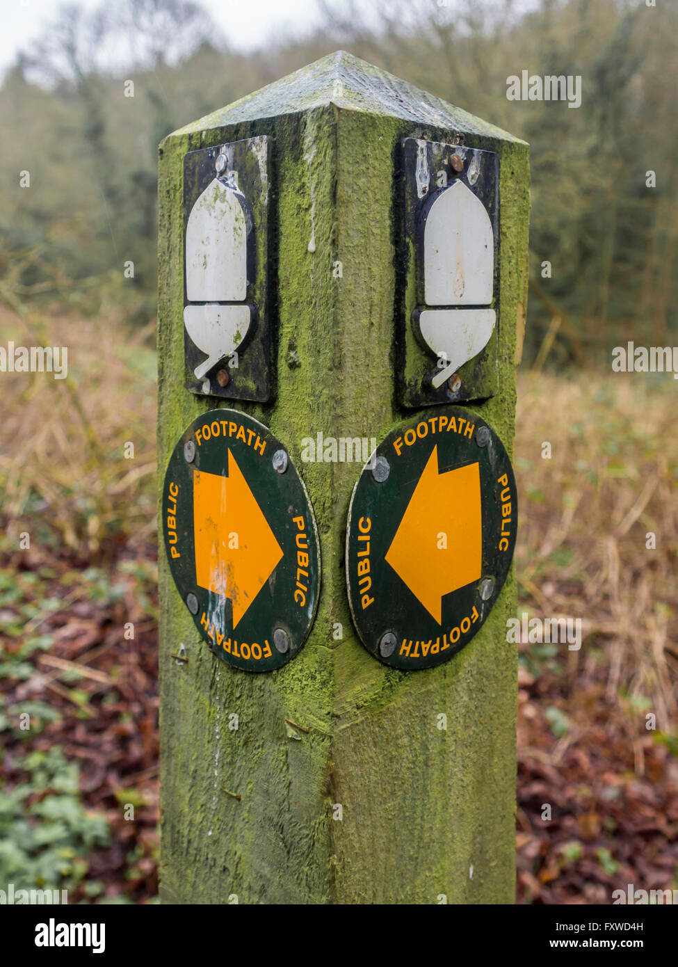 Change of direction hi-res stock photography and images - Alamy