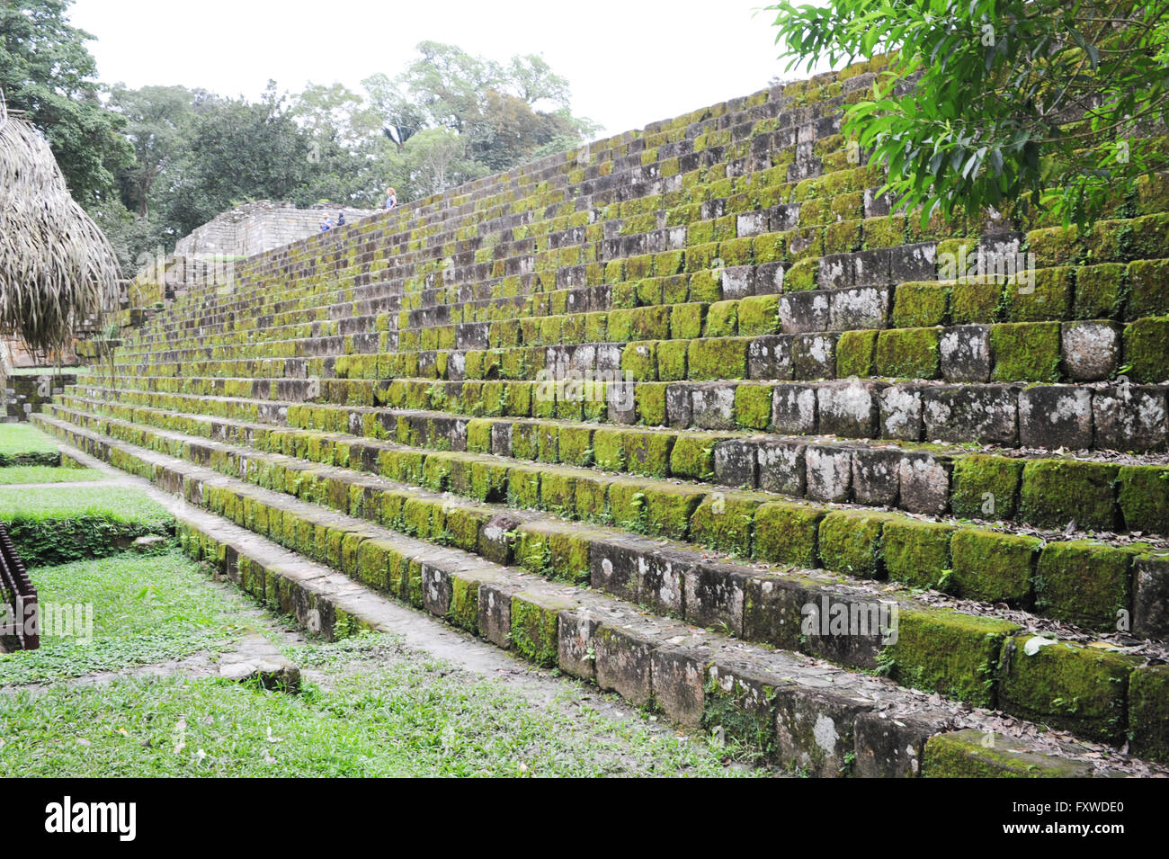 Mayan archaeological Site of Quirigua on Guatemala Stock Photo - Alamy
