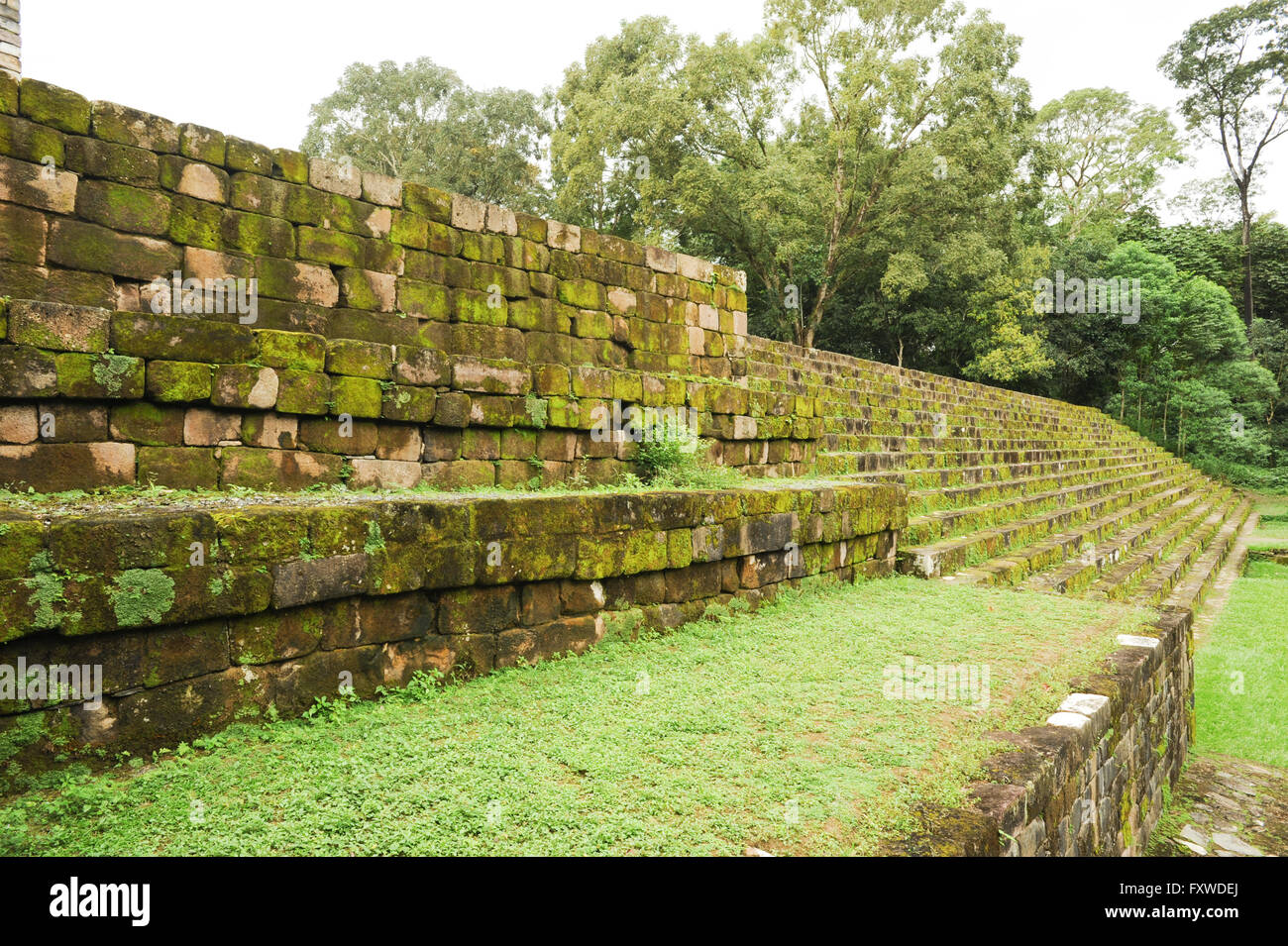 Mayan archaeological Site of Quirigua on Guatemala Stock Photo - Alamy