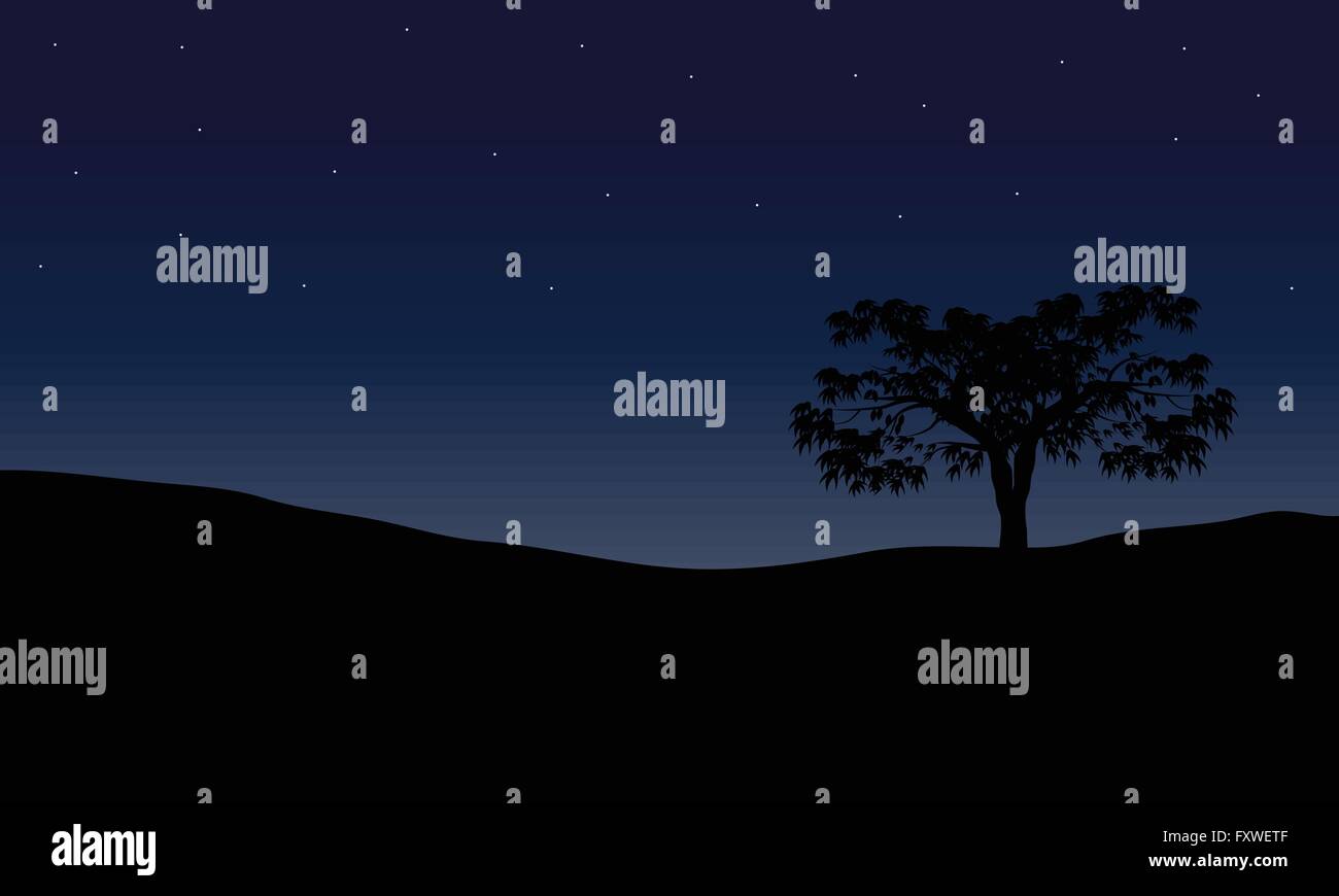 Tree in night scenery Stock Vector Image & Art - Alamy