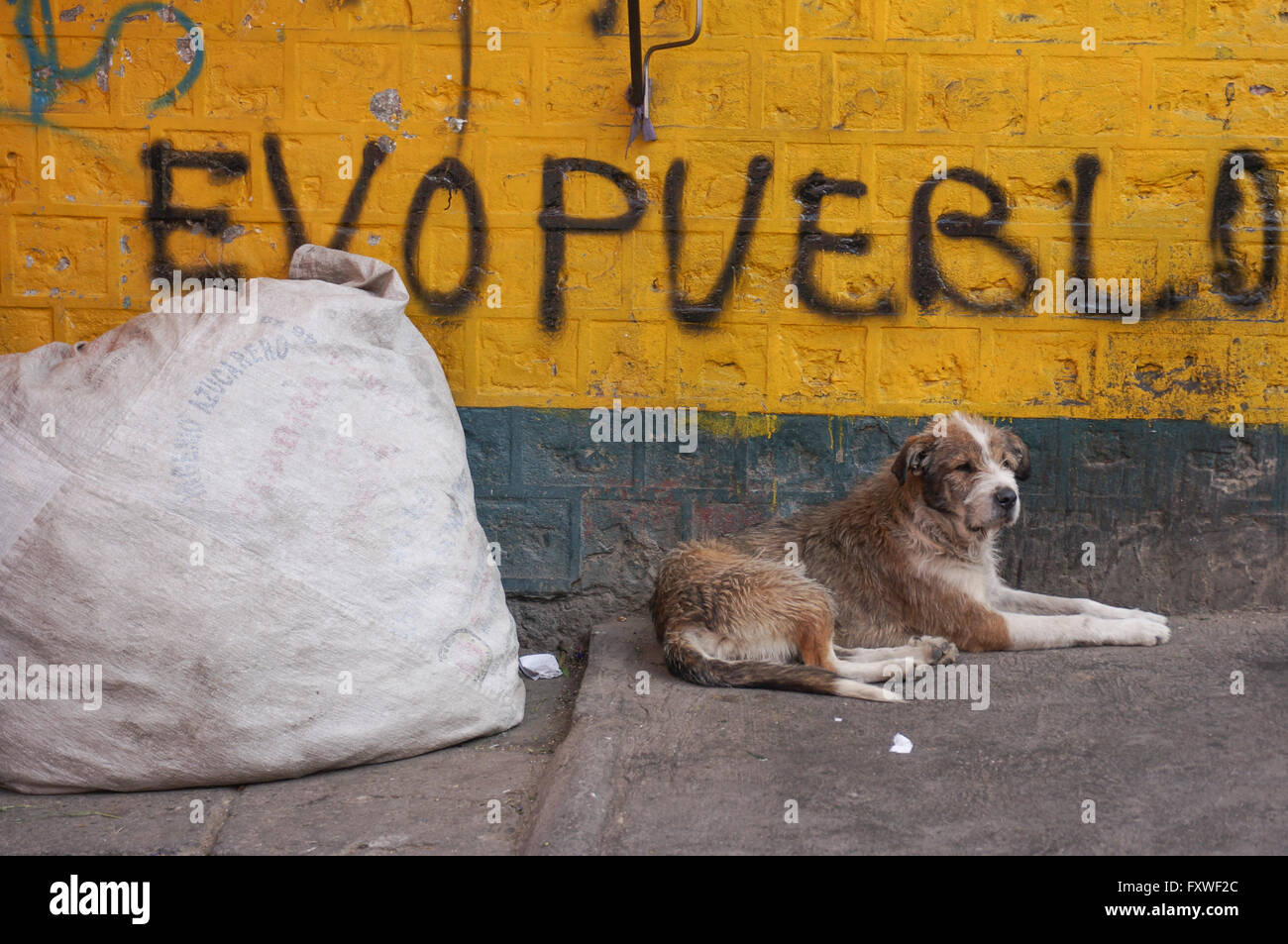 Bolivia - 27/07/2013 - Bolivia / La Paz / La Paz - La Paz ...
