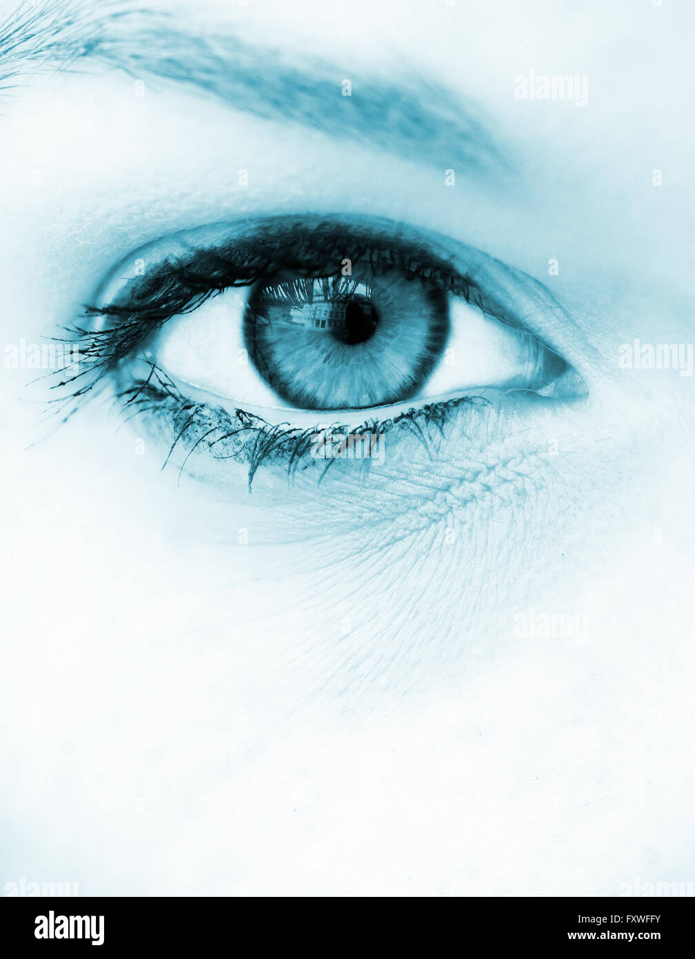 Human eye side view hi-res stock photography and images - Alamy