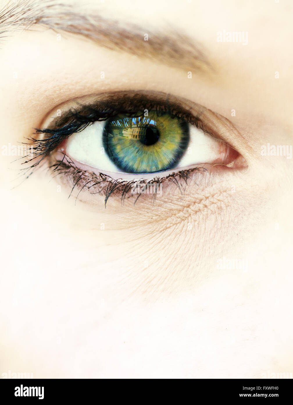 Eye side view hi-res stock photography and images - Alamy