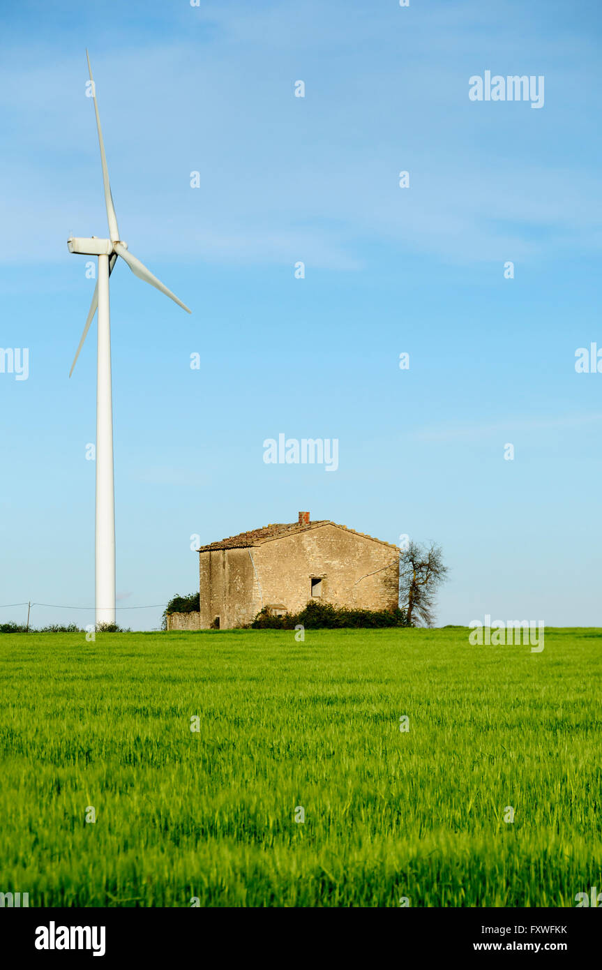 Wind turbines in a field and a blue sky with some clouds at background ...