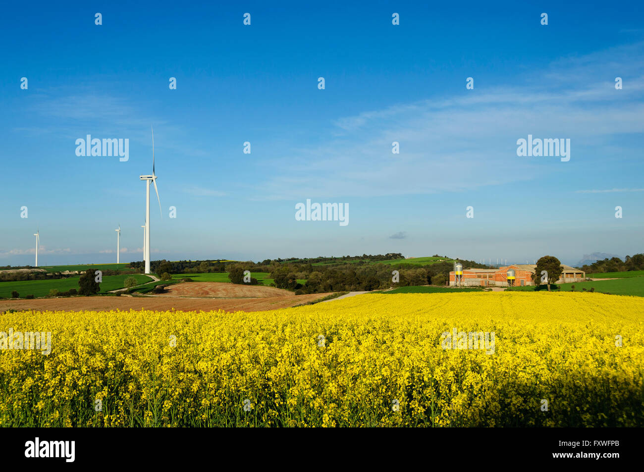 Wind turbines in a field and a blue sky with some clouds at background ...