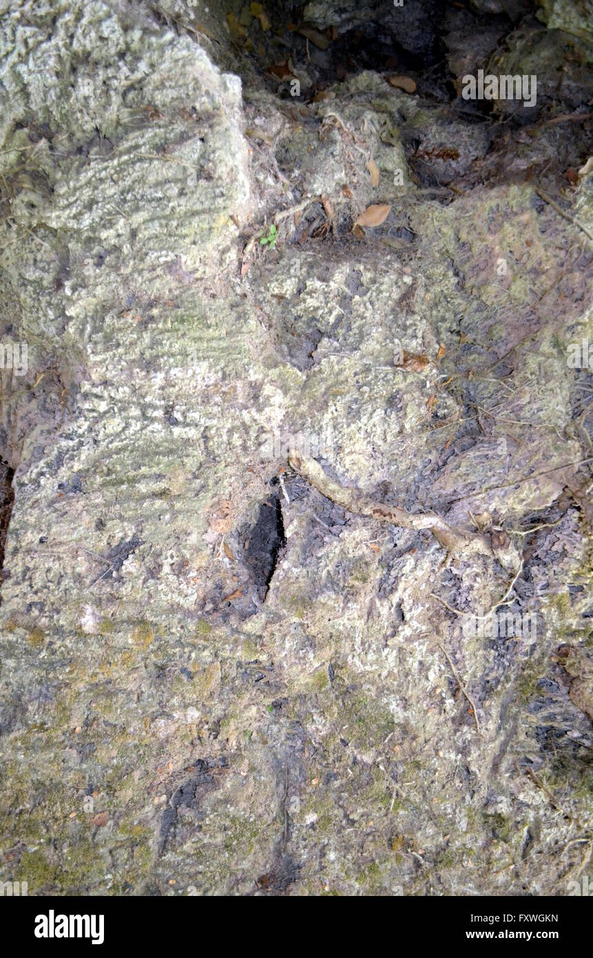 Flat stone backgrounds hi-res stock photography and images - Alamy