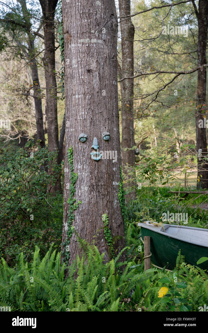 Humorous face attached to a tree Stock Photo - Alamy