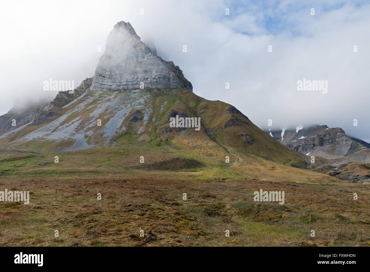scenic view of the bird cliffs at Alkhornet in Svalbard Stock Photo - Alamy