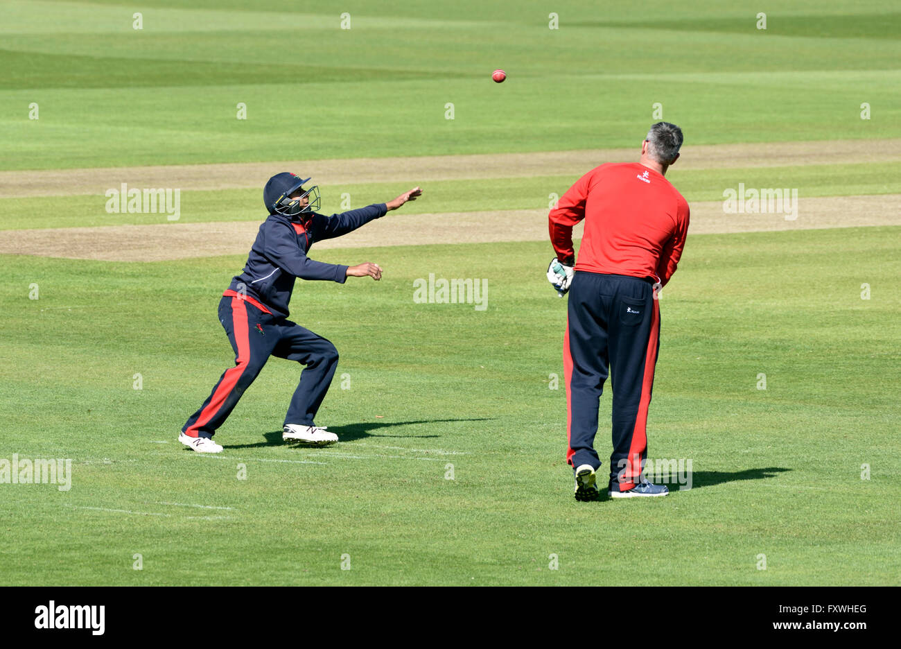Cricket catching practice hi-res stock photography and images - Alamy