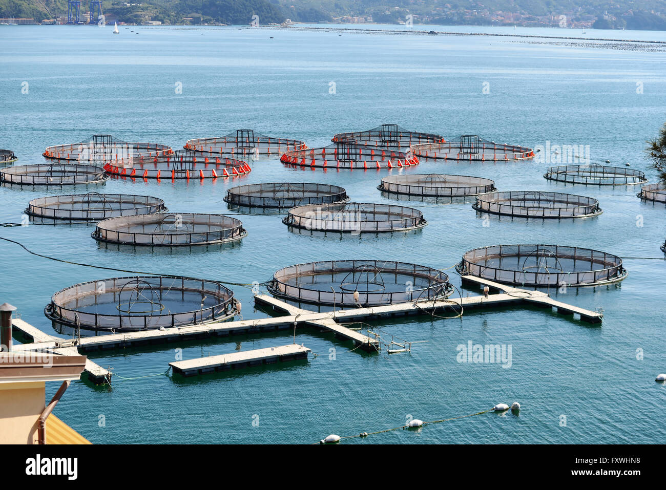 Fish farming hi-res stock photography and images - Alamy